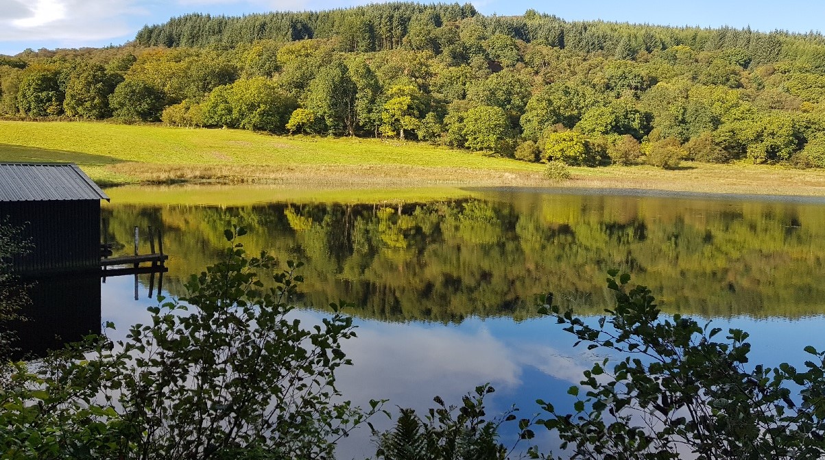 Loch Loskin is looking good | Dunoon and District Angling Club