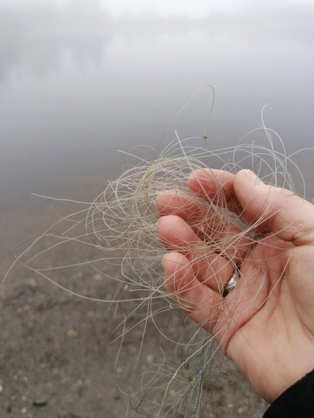 Discarded Fishing Line | Dunoon and District Angling Club