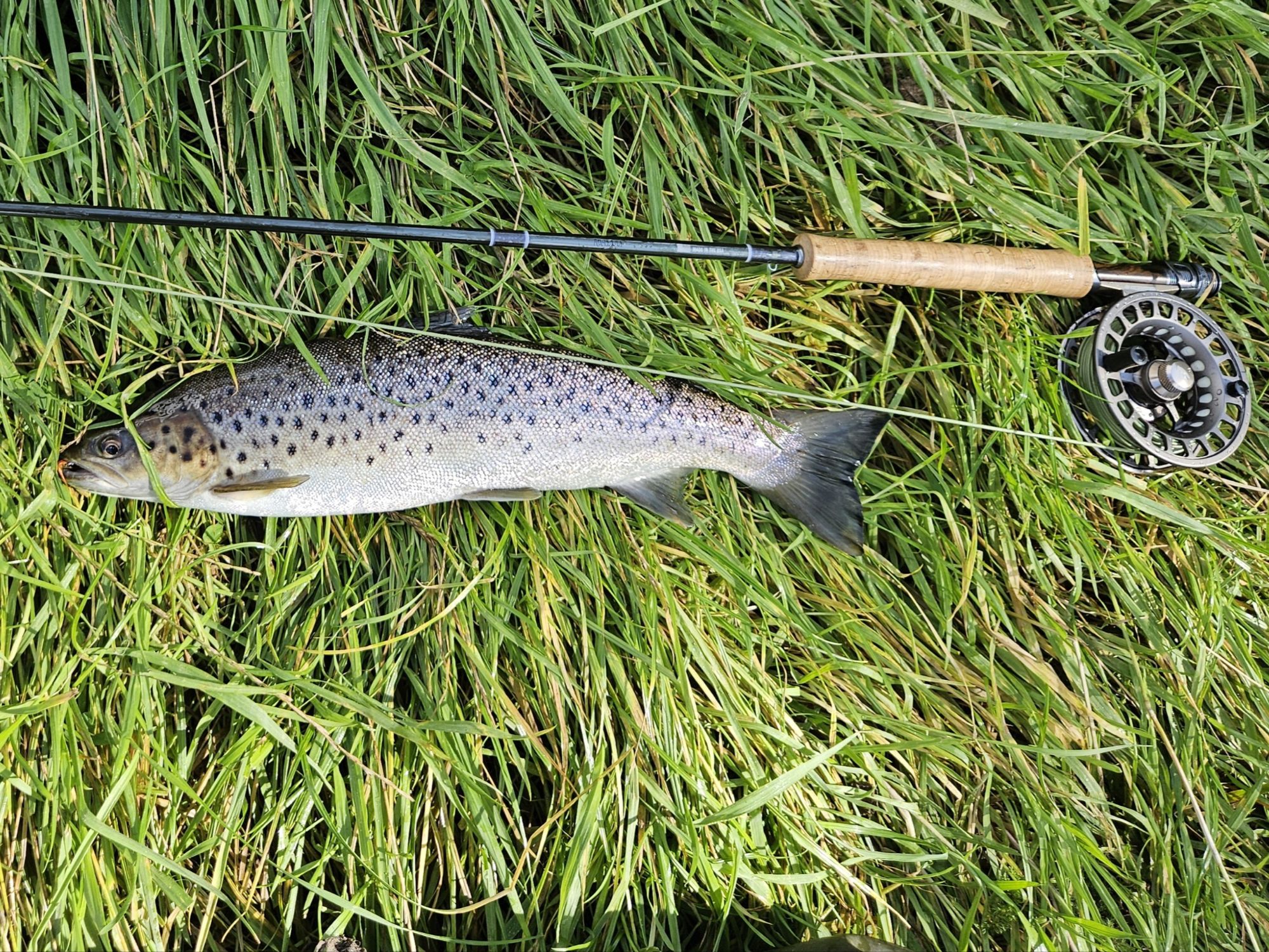 Dunoon and District Angling Club | Fly Fishing in Cowal for Rainbow and ...