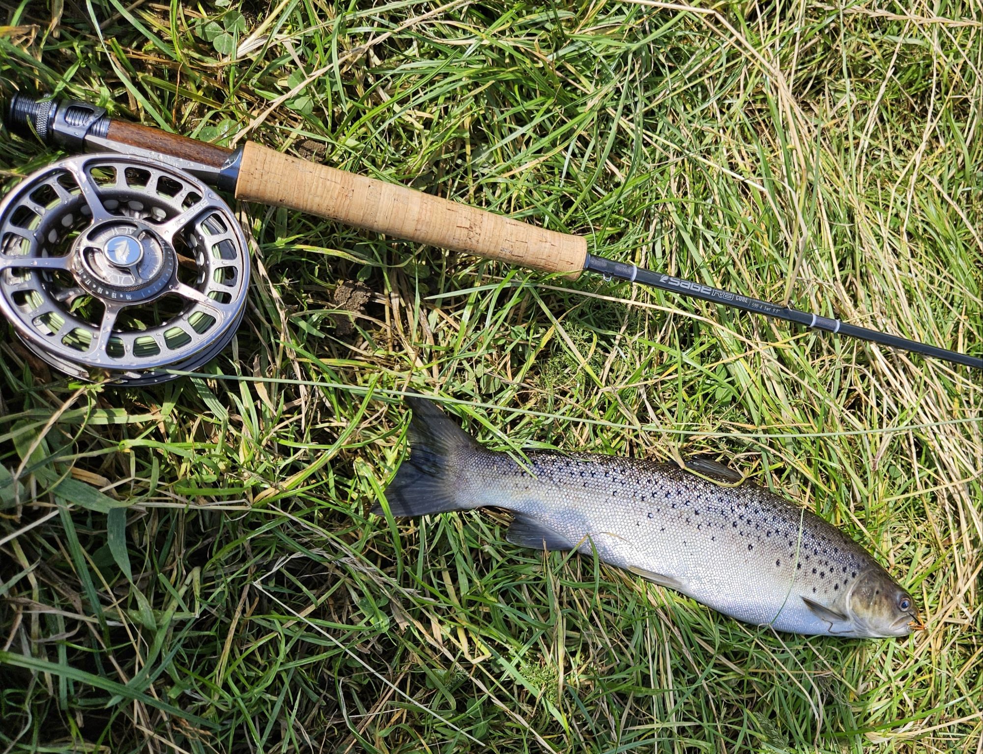 Ruel Sea Trout | Dunoon and District Angling Club