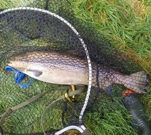 River Ruel | Dunoon and District Angling Club
