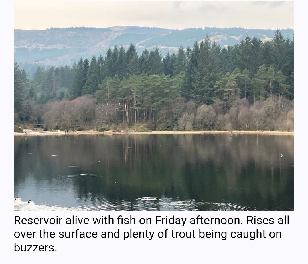 Reservoir is looking good 👀🎣 | Dunoon and District Angling Club